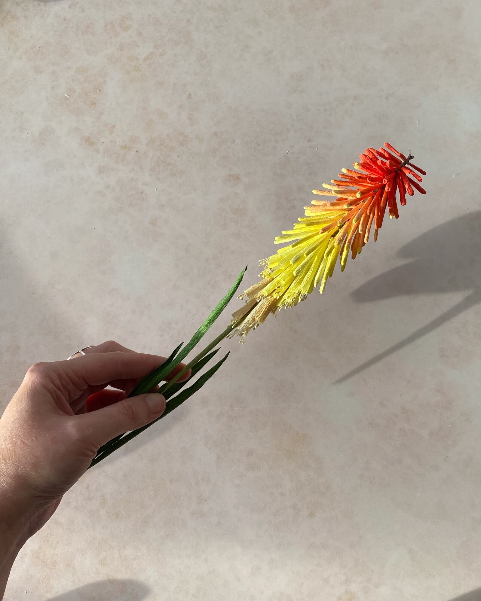 A PETAL UNFOLDS | Paper Flowers & Botanicals | UK