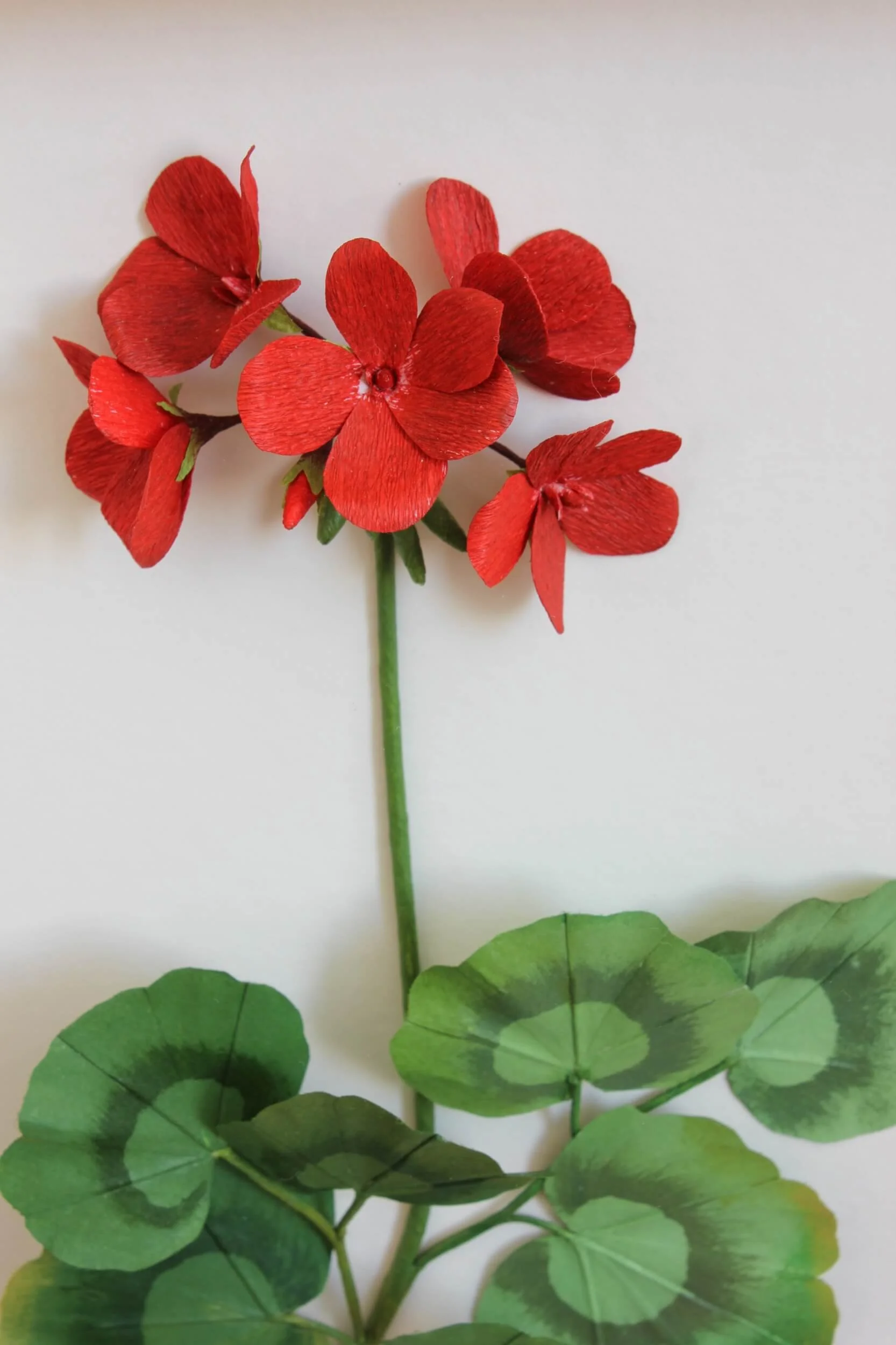 Shop Paper Flowers — A PETAL UNFOLDS