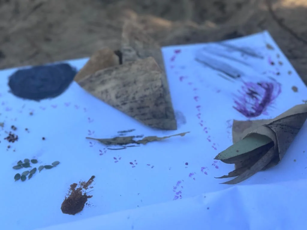 Embodied Landscape Drawing — Mallee Conservation