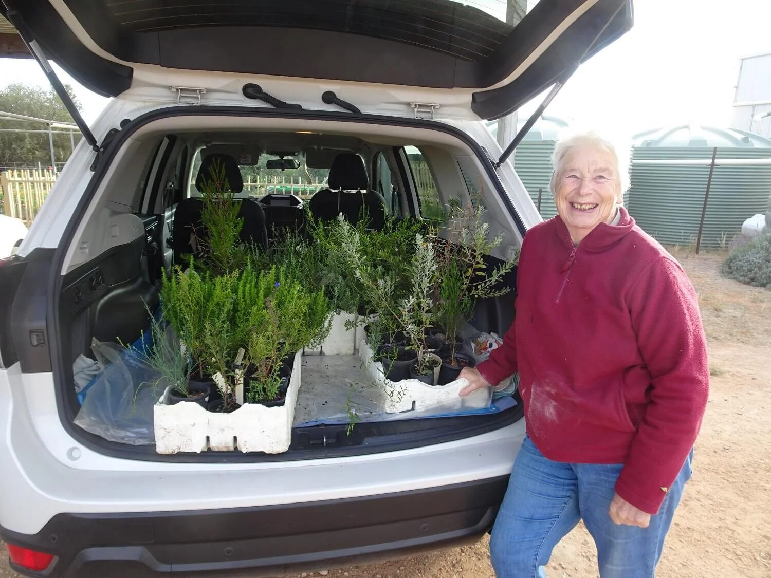 Tree planting 2021 — Mallee Conservation