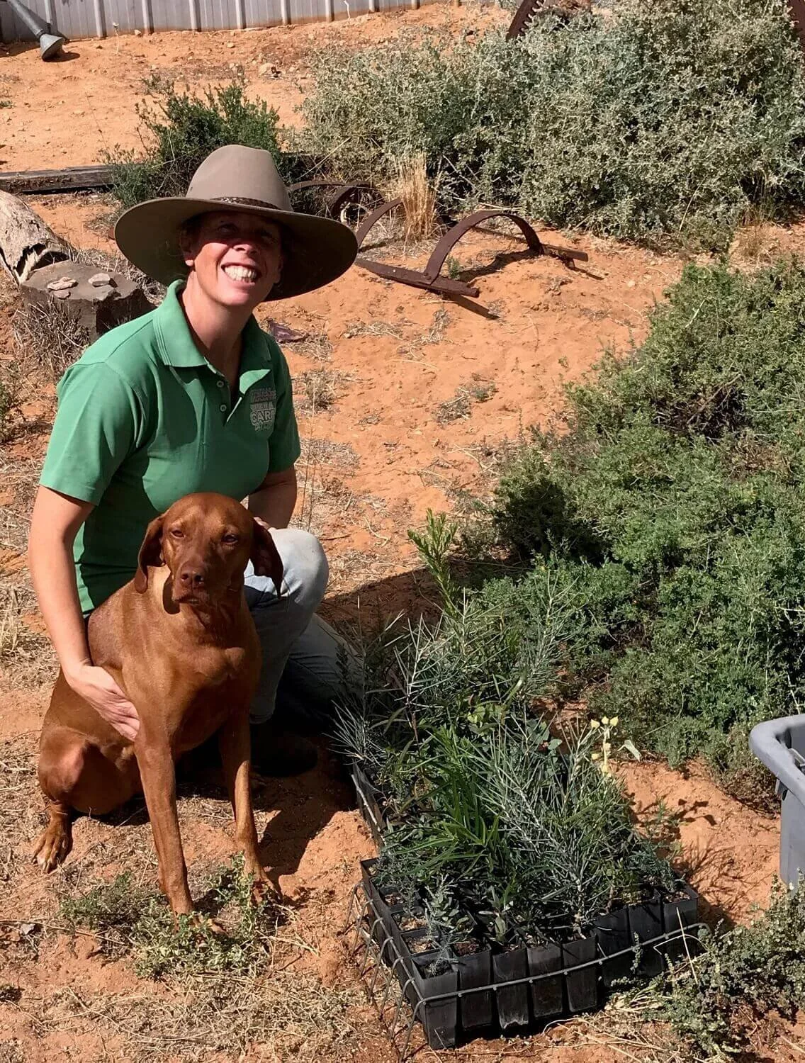Tree planting in the Mallee — Mallee Conservation