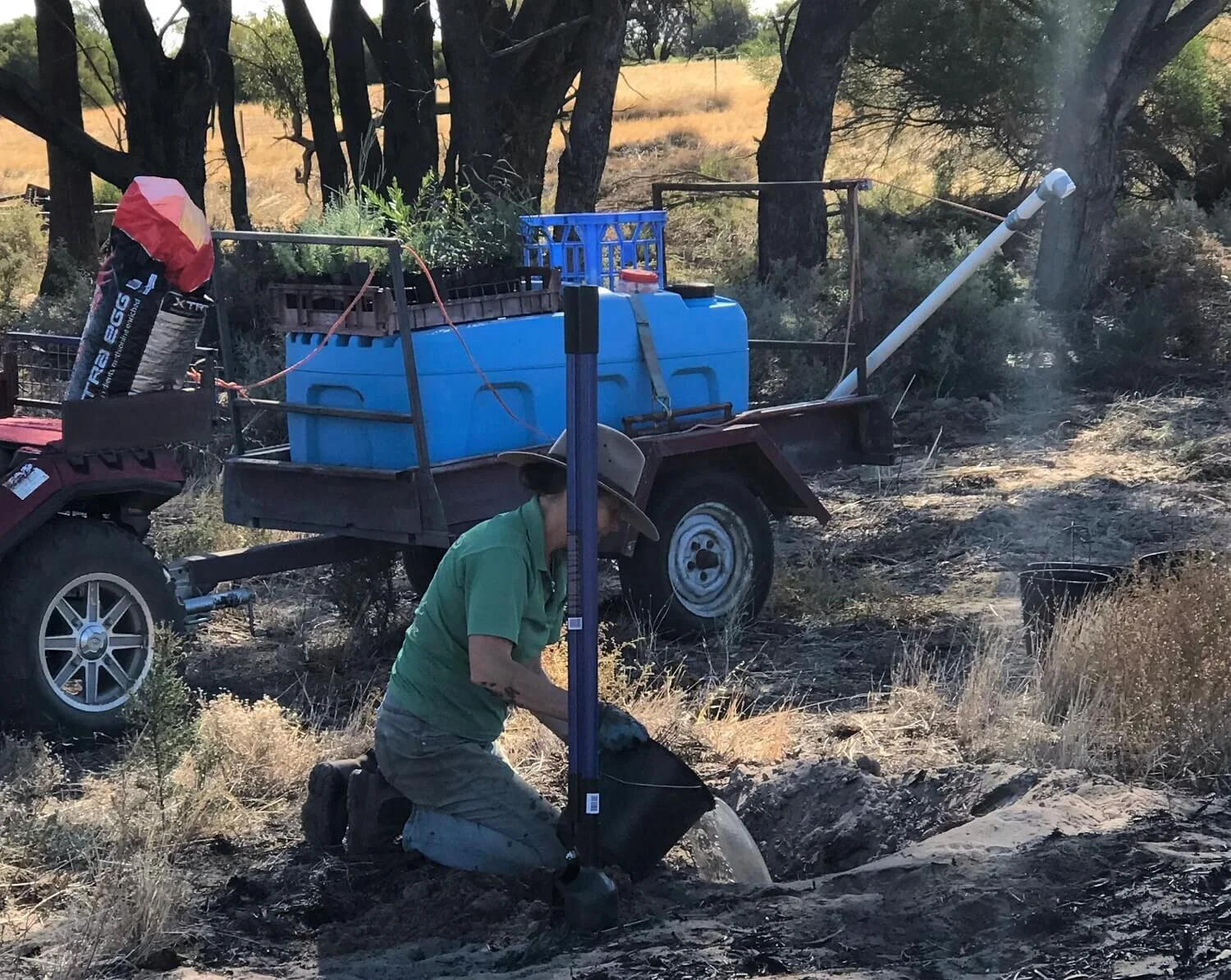 Tree planting 2021 — Mallee Conservation