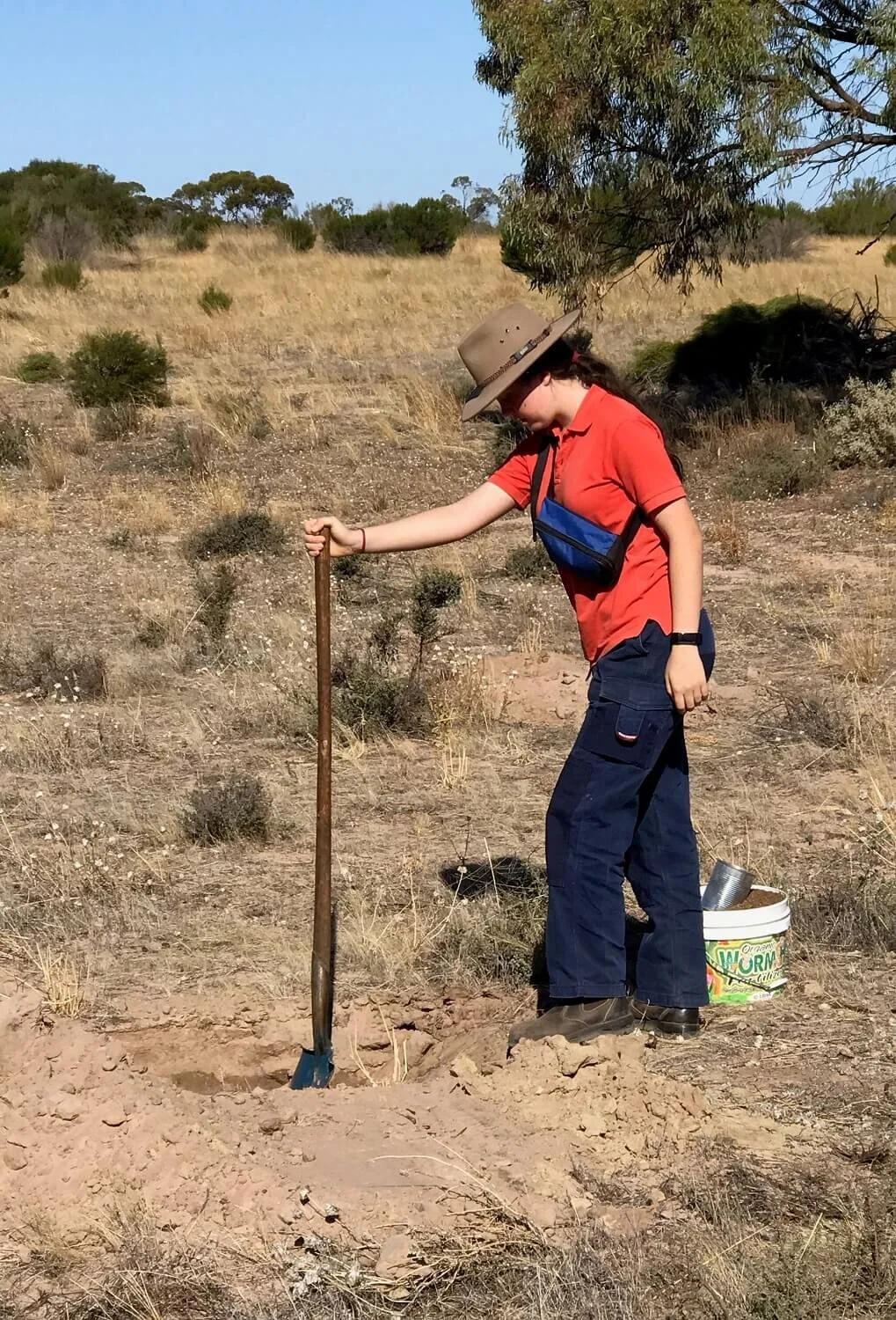Tree planting in the Mallee — Mallee Conservation