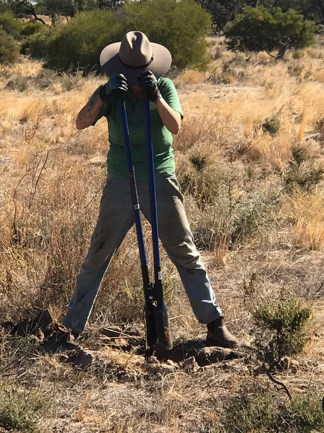 Tree planting in the Mallee — Mallee Conservation