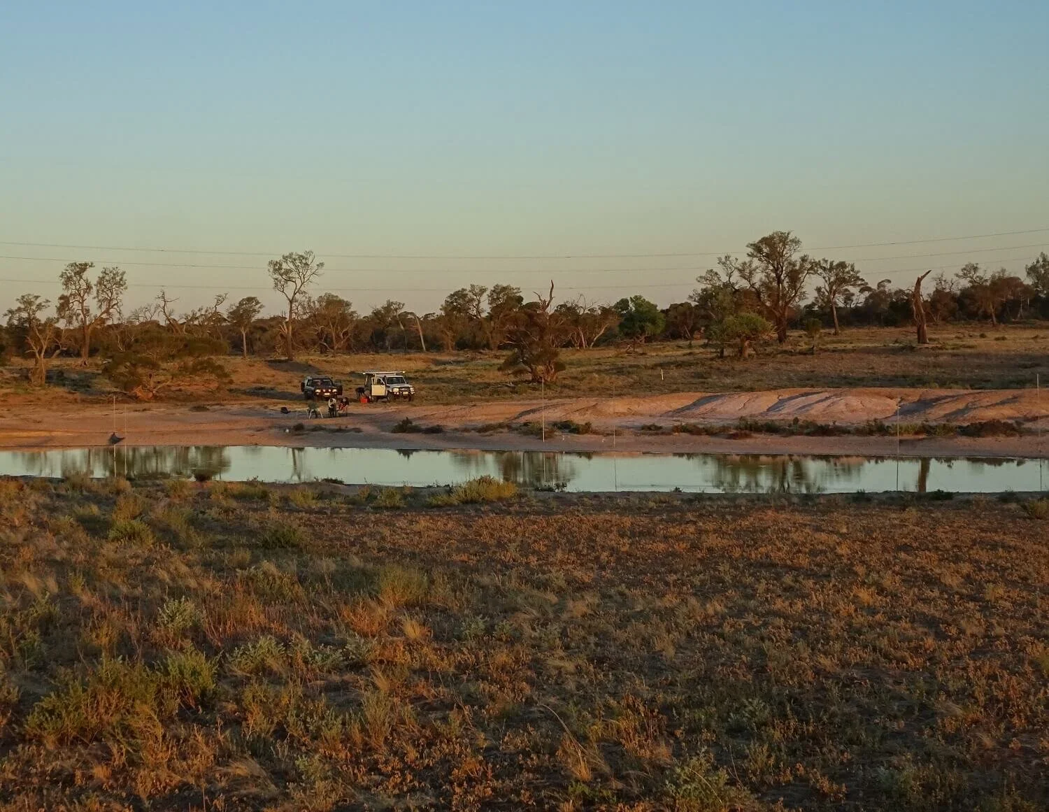Bats in the Mallee — Mallee Conservation