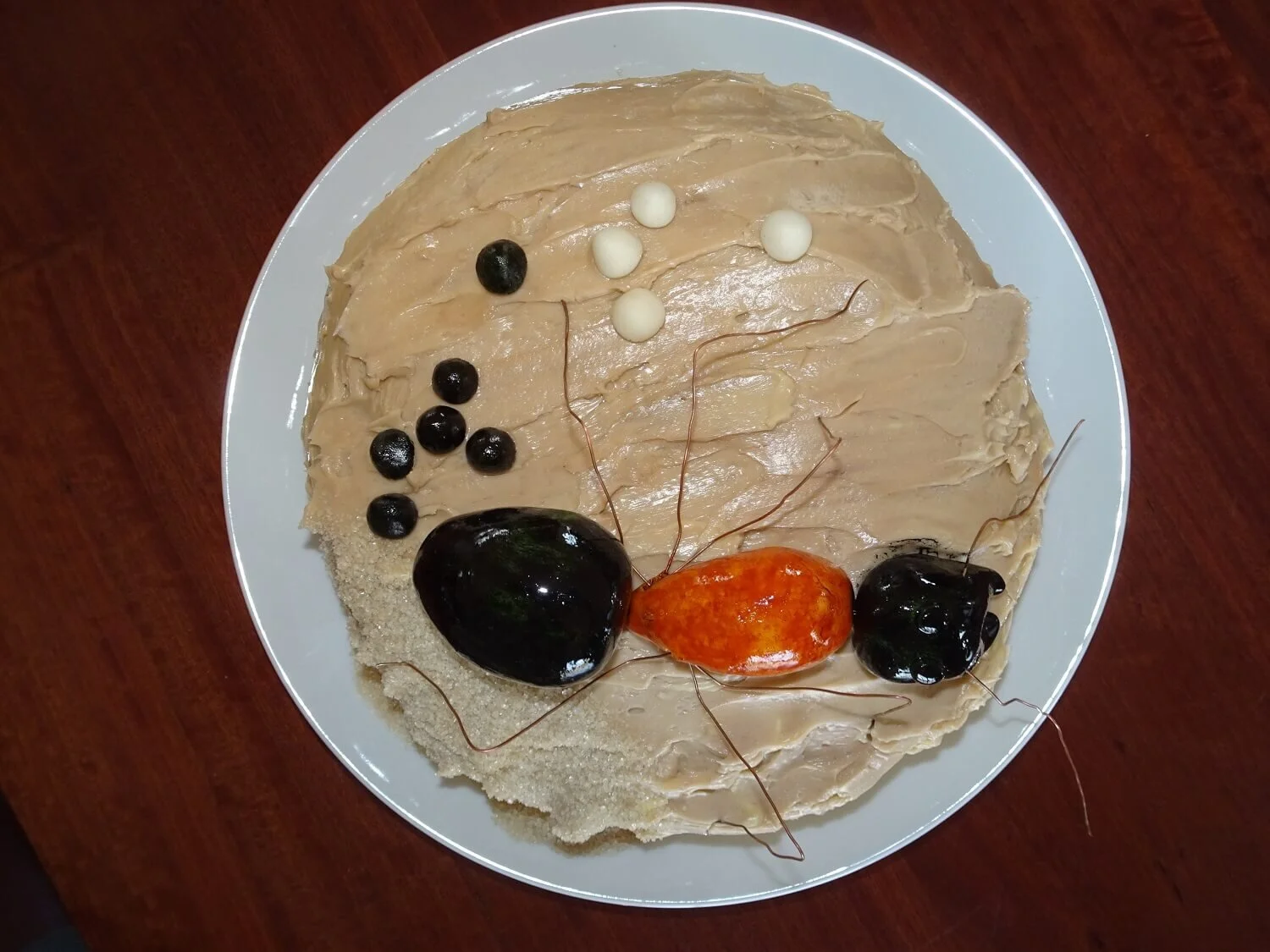 An ant cake — Mallee Conservation