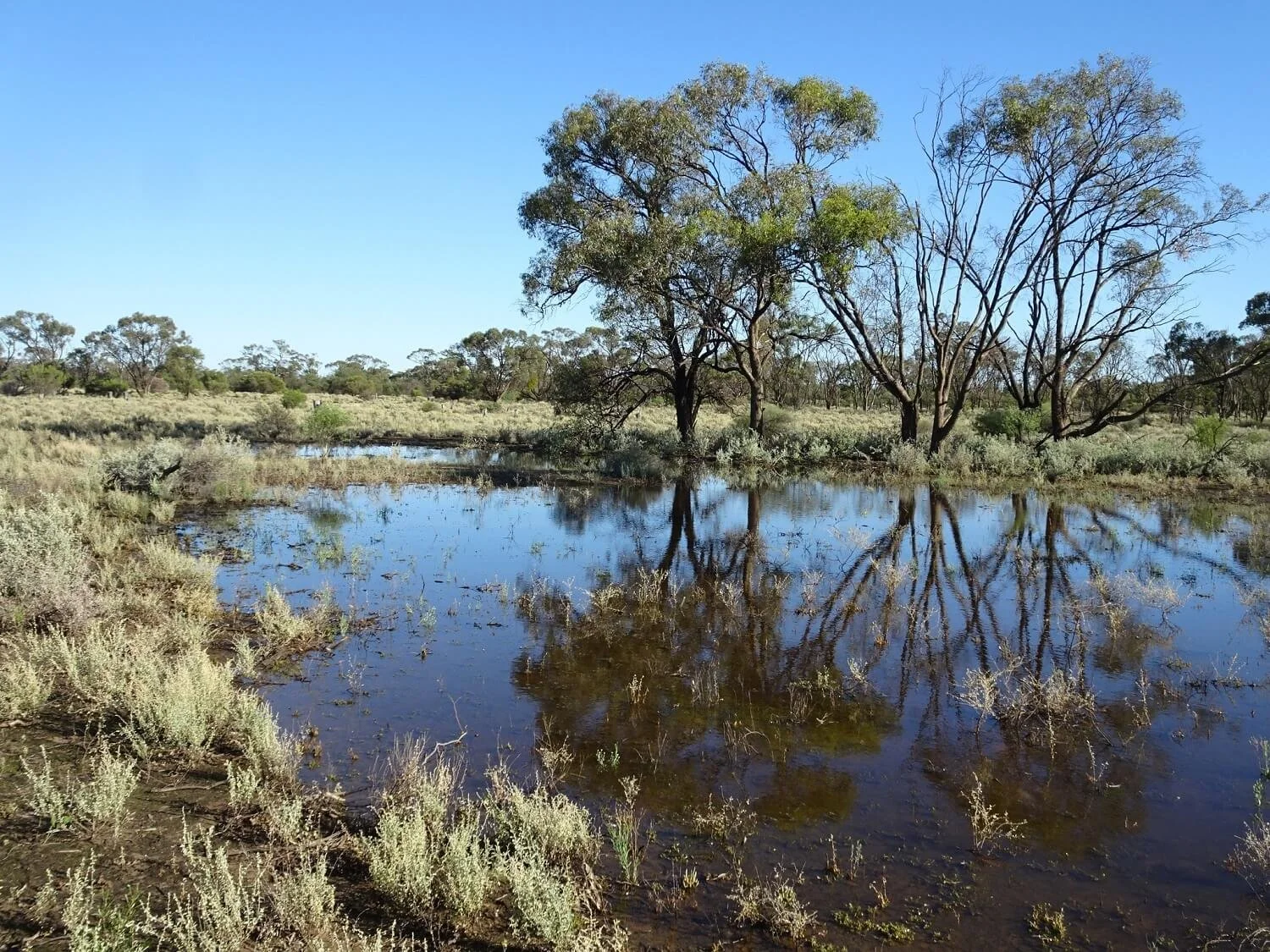 February socials — Mallee Conservation