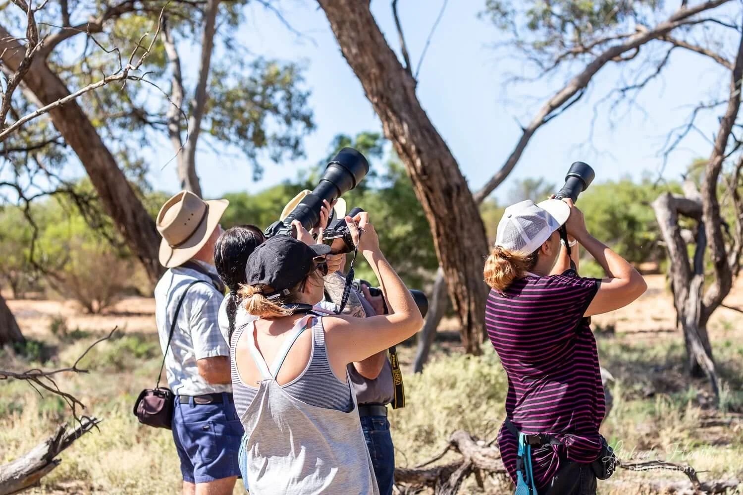 Mallee Conservation