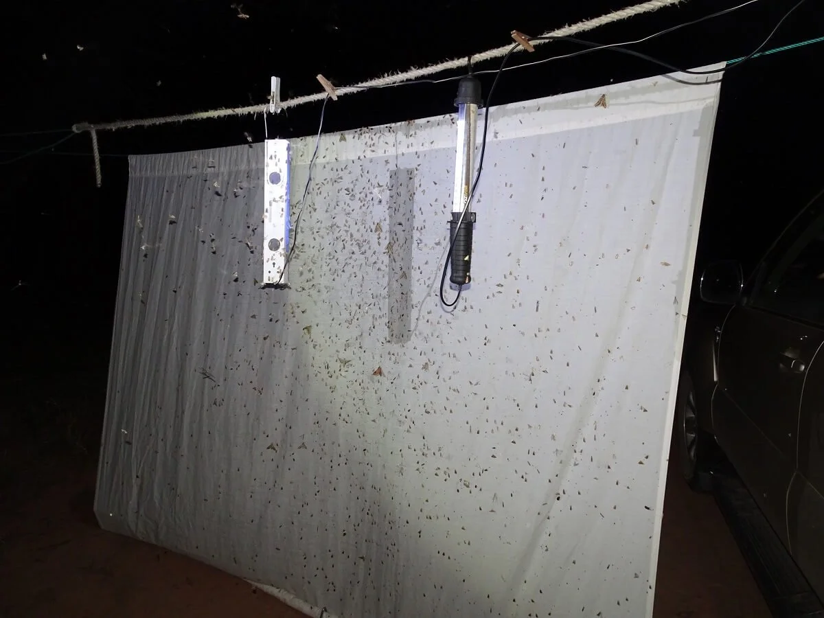 March socials — Mallee Conservation