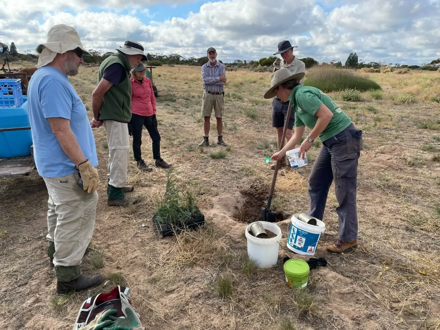 Tree planting in the Mallee — Mallee Conservation