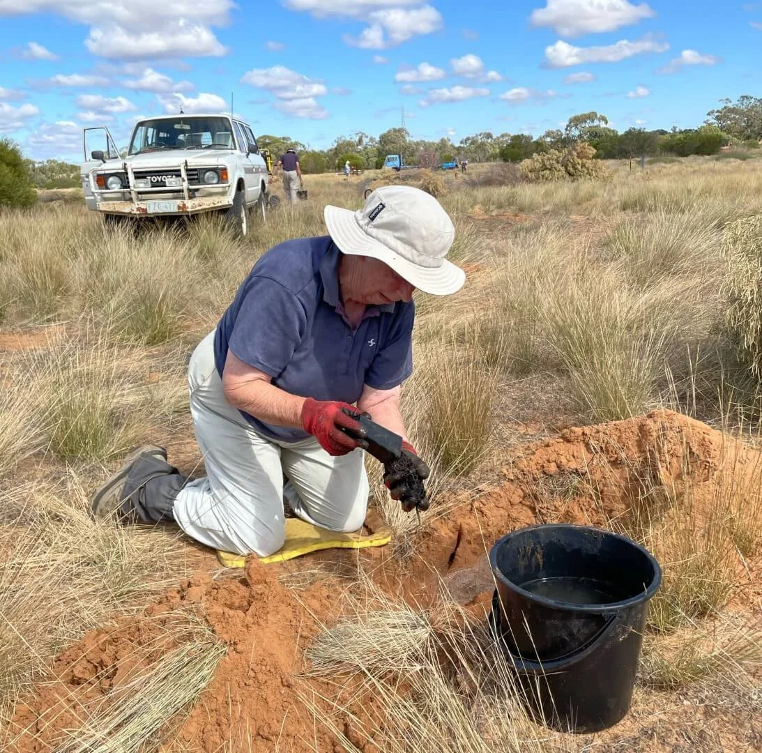 Tree planting in the Mallee — Mallee Conservation