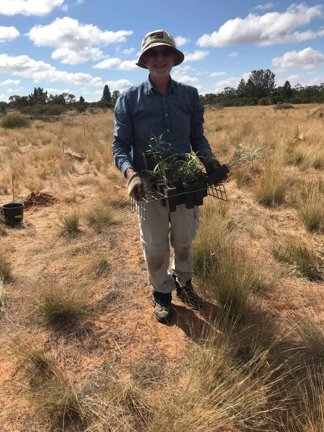 Tree planting in the Mallee — Mallee Conservation