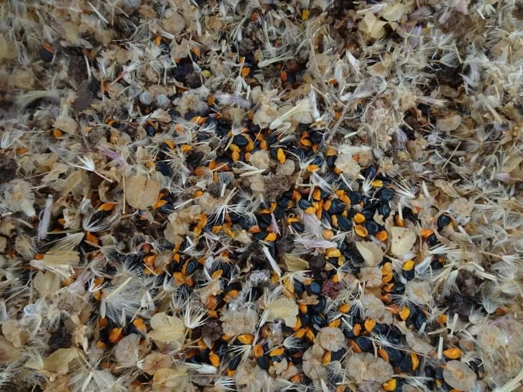 What happened in June? — Mallee Conservation