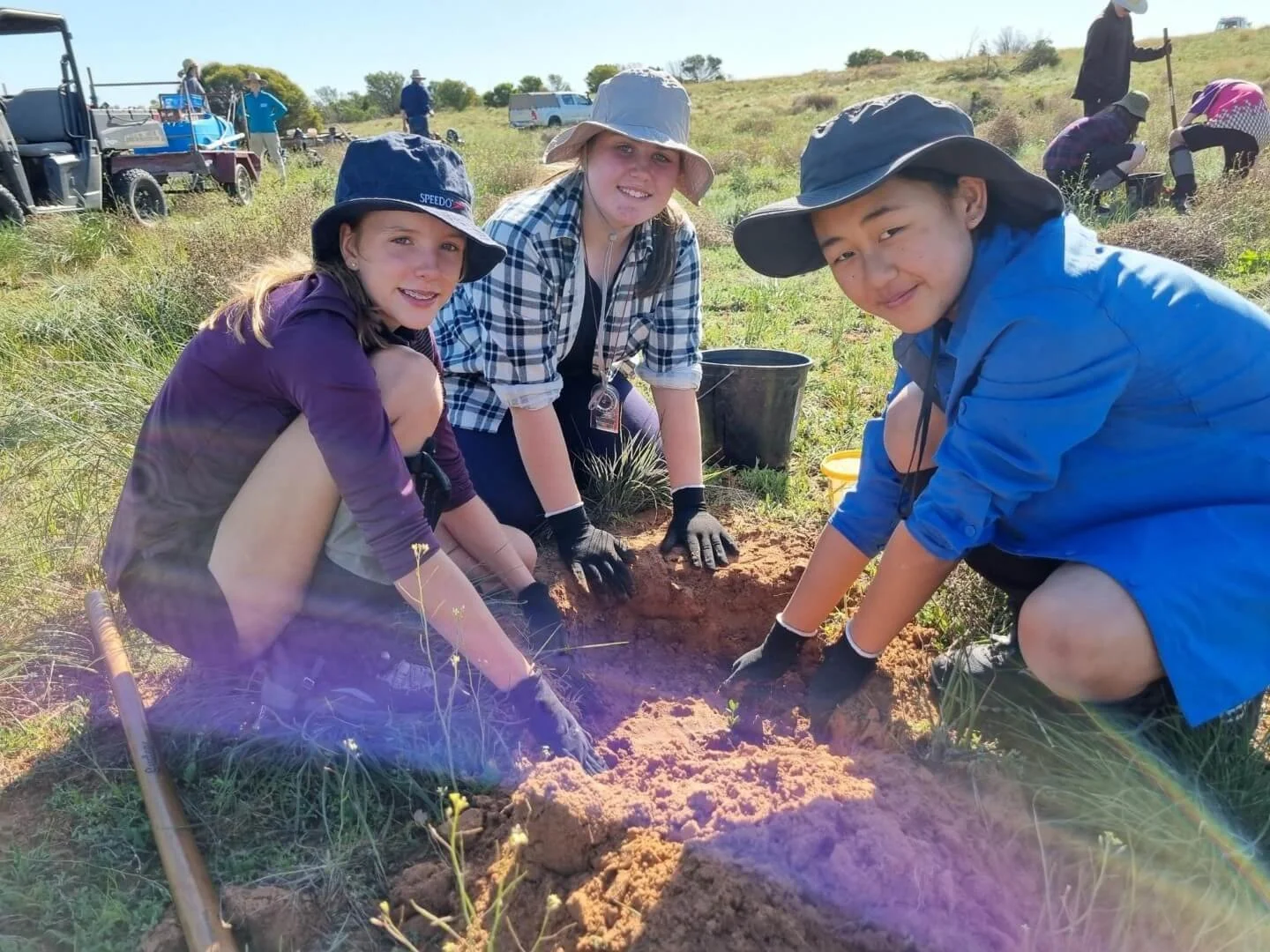 Track my tree — Mallee Conservation
