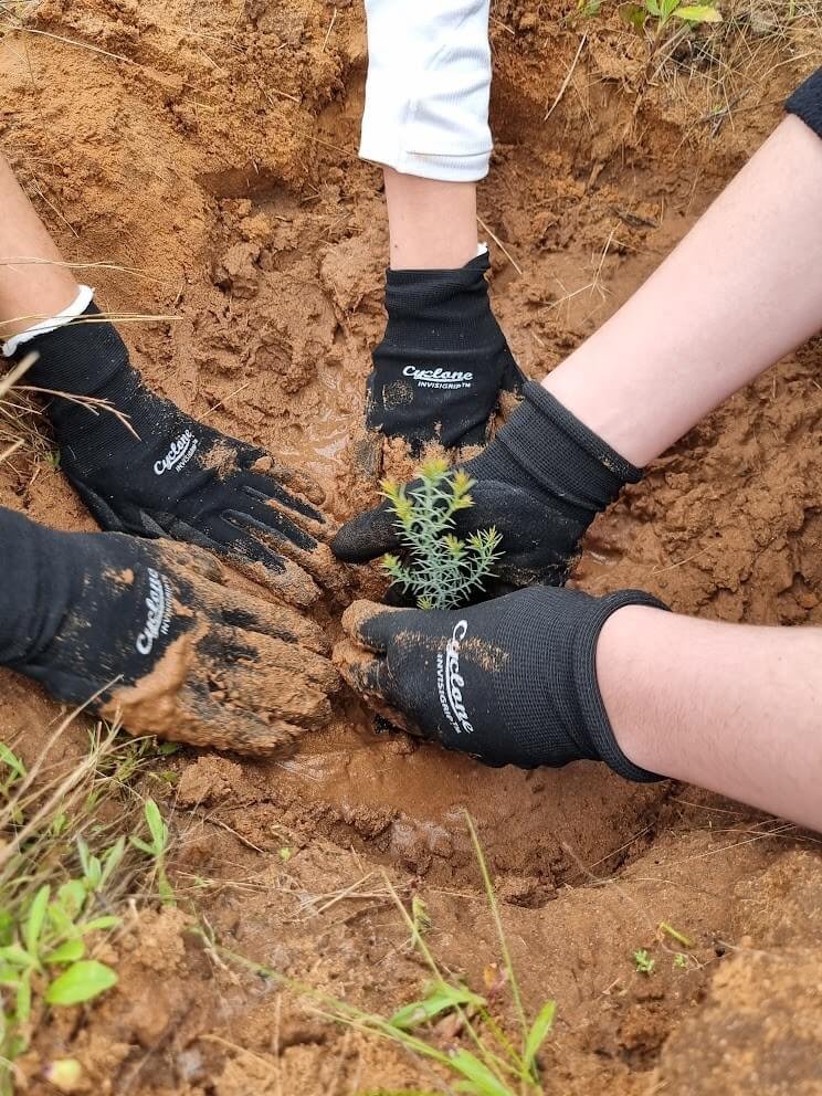 Track my tree — Mallee Conservation