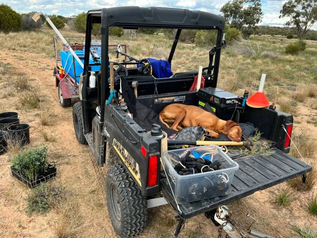 Track my tree — Mallee Conservation