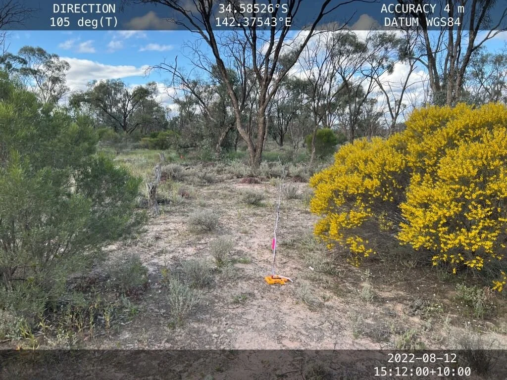 August — Mallee Conservation