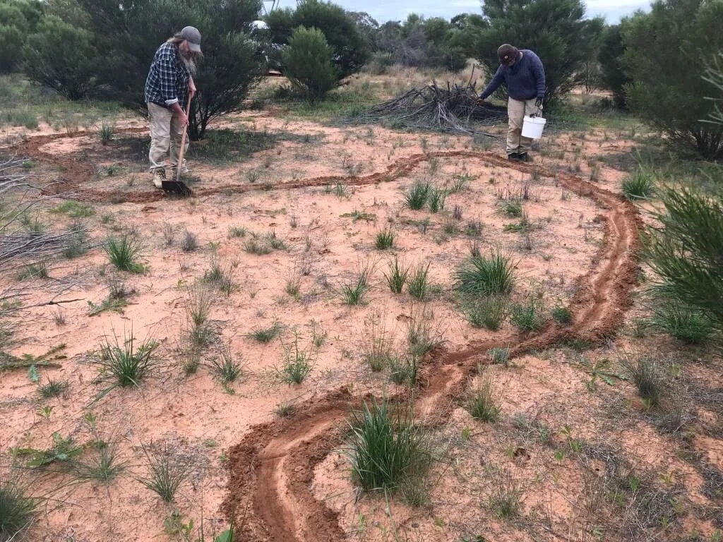 September — Mallee Conservation