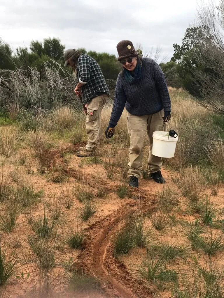 Mallee Conservation