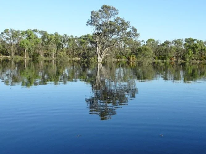 Wetland ecologists are awesome — Mallee Conservation