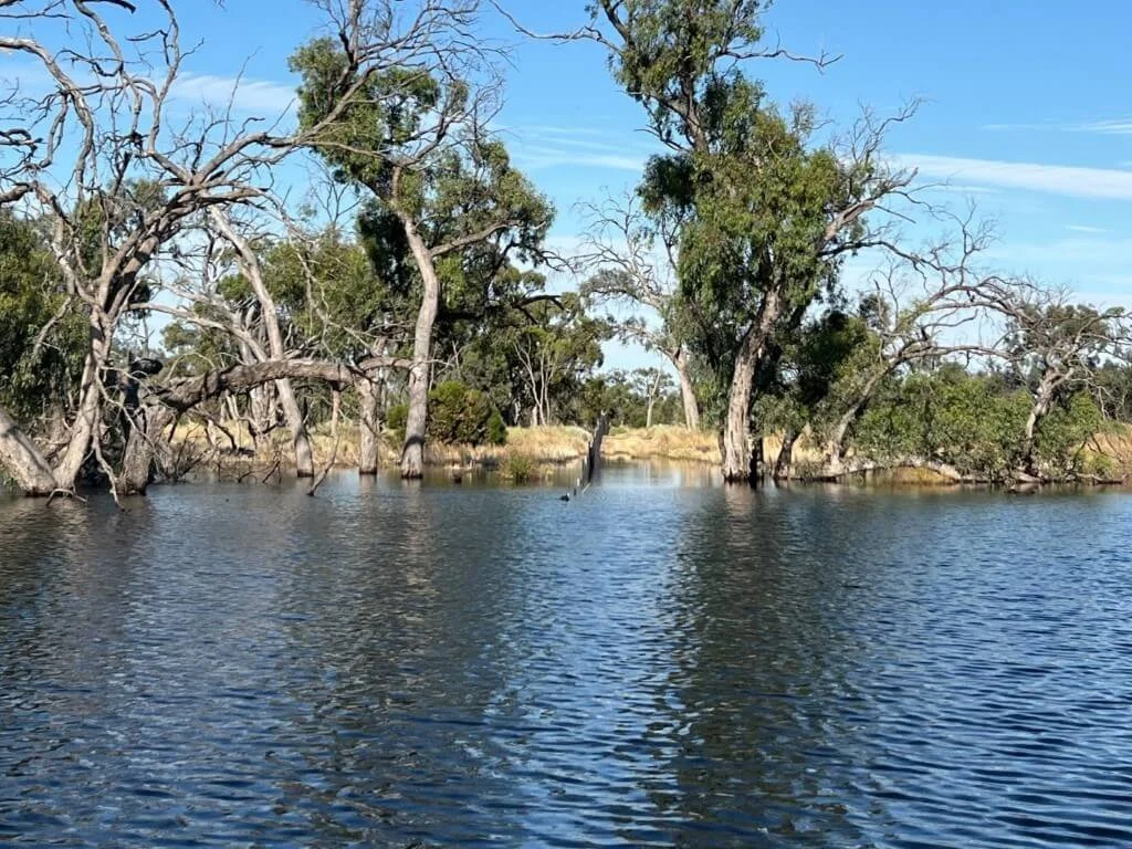 Fixed the flooded fence — Mallee Conservation