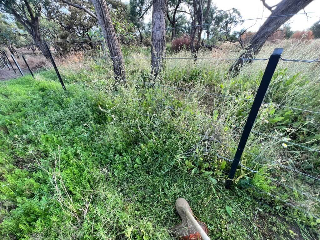 Fixed the flooded fence — Mallee Conservation
