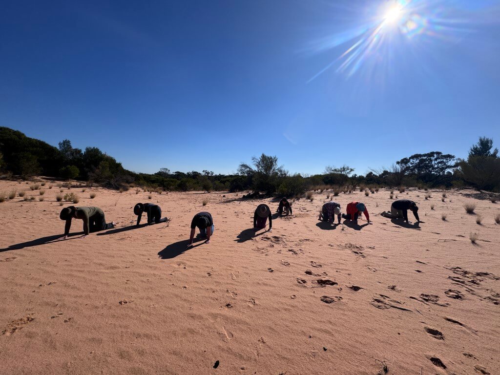 Embodied Landscape Drawing — Mallee Conservation