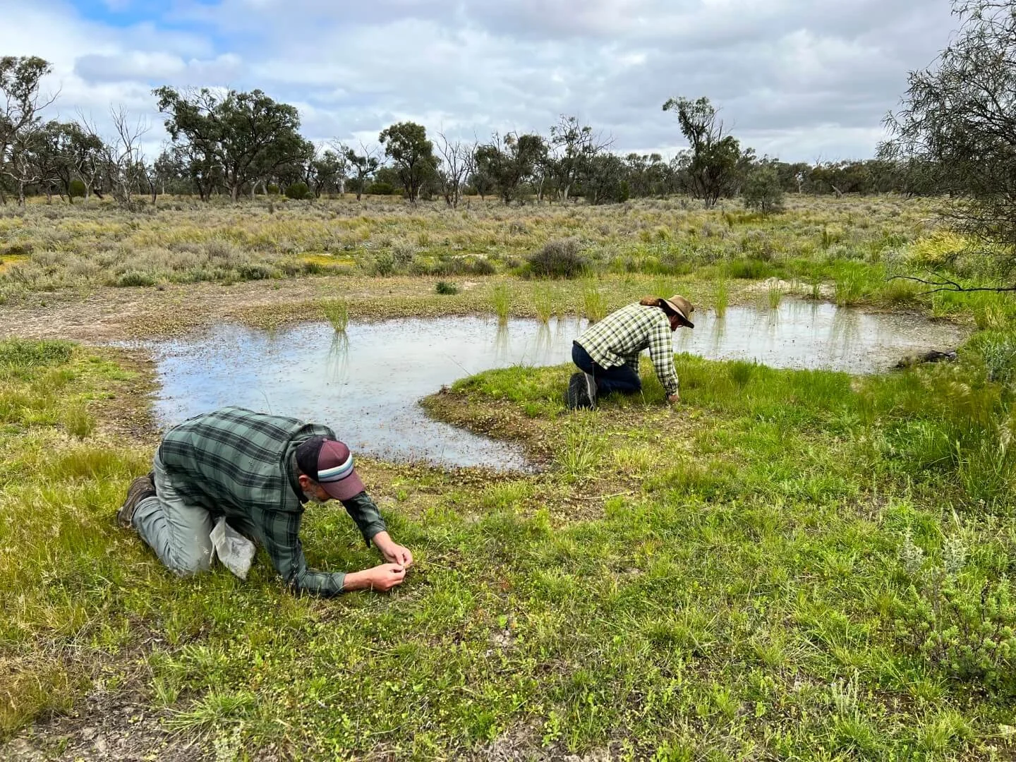 Blog — Mallee Conservation