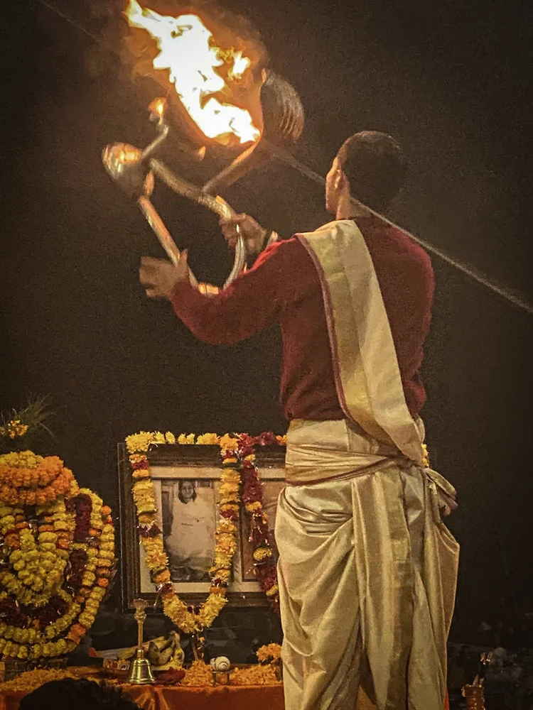 The Dandelion Philosophy