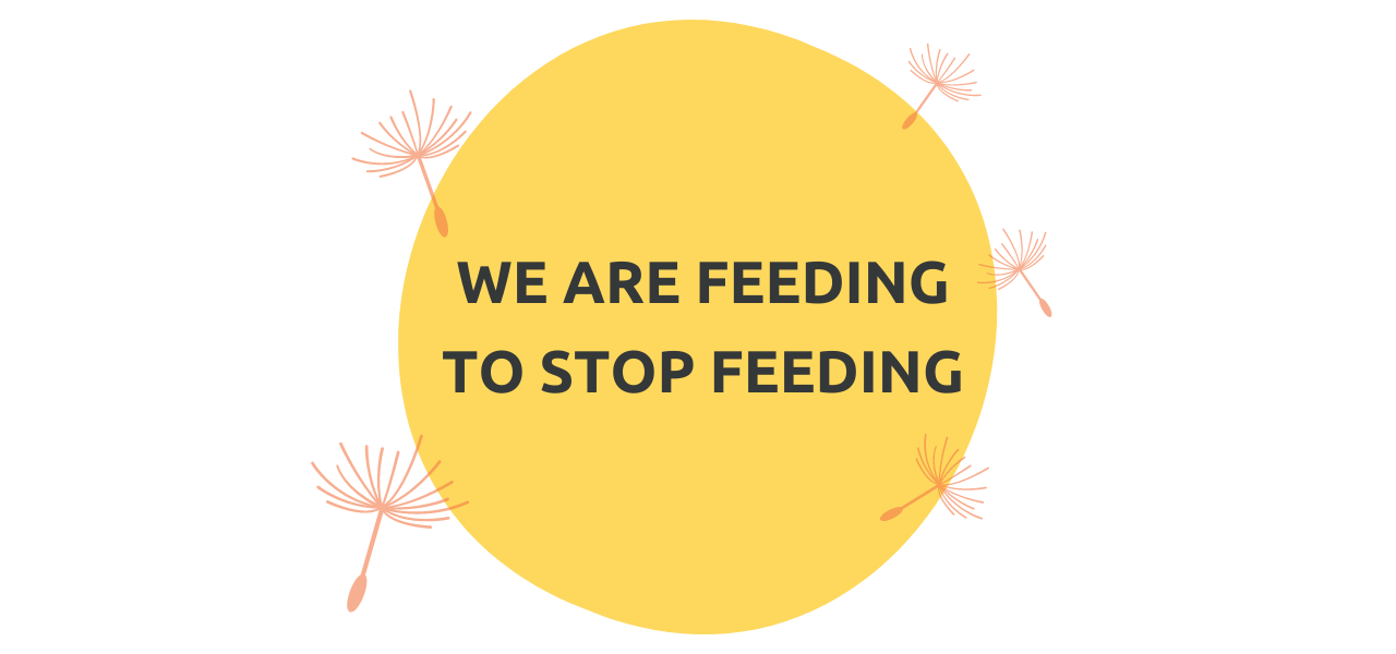 The Dandelion Philosophy