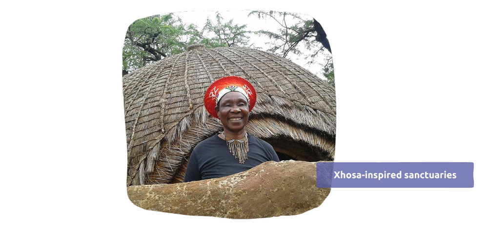 The Dandelion Philosophy