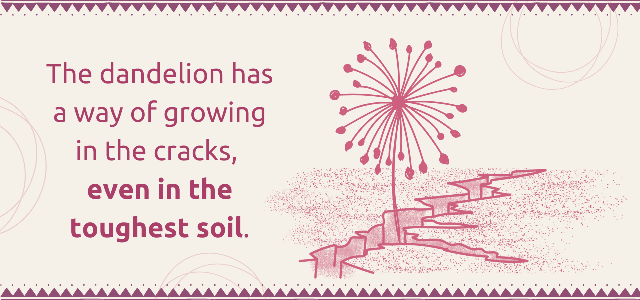 The Dandelion Philosophy