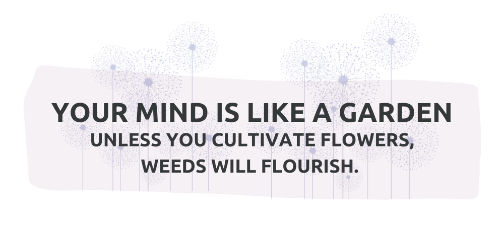 The Dandelion Philosophy