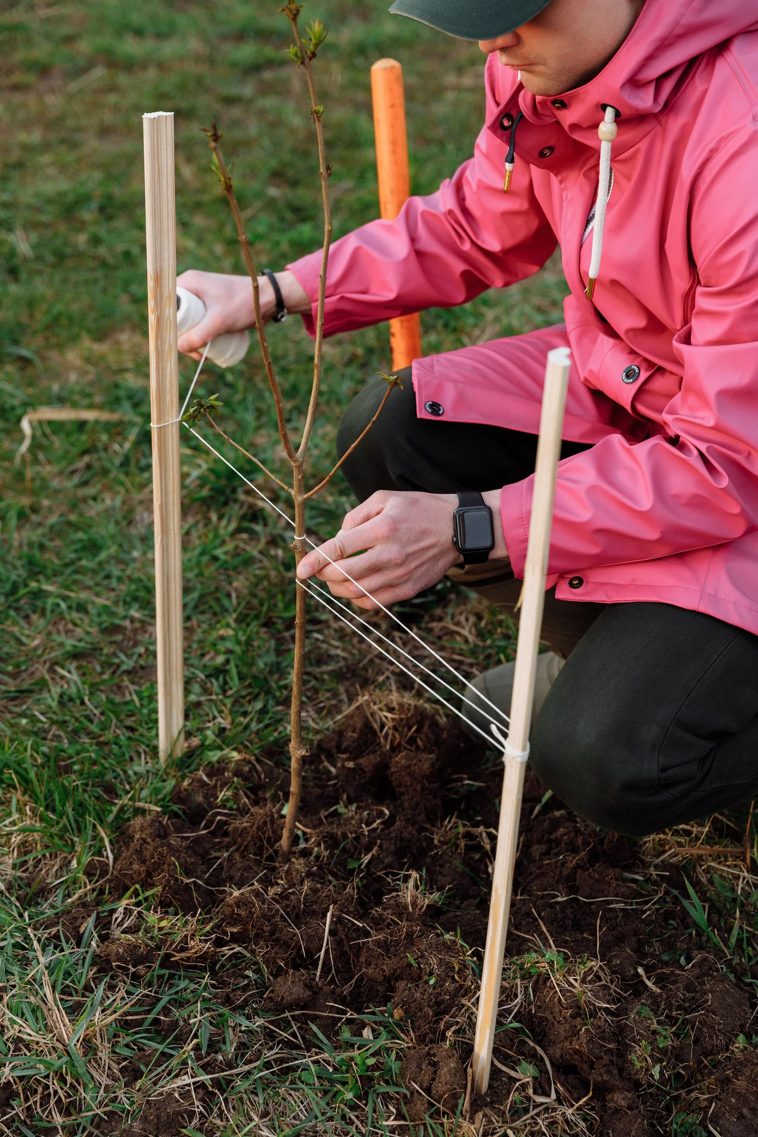 Habitat Banking Resource Hub — Future Parks Accelerator