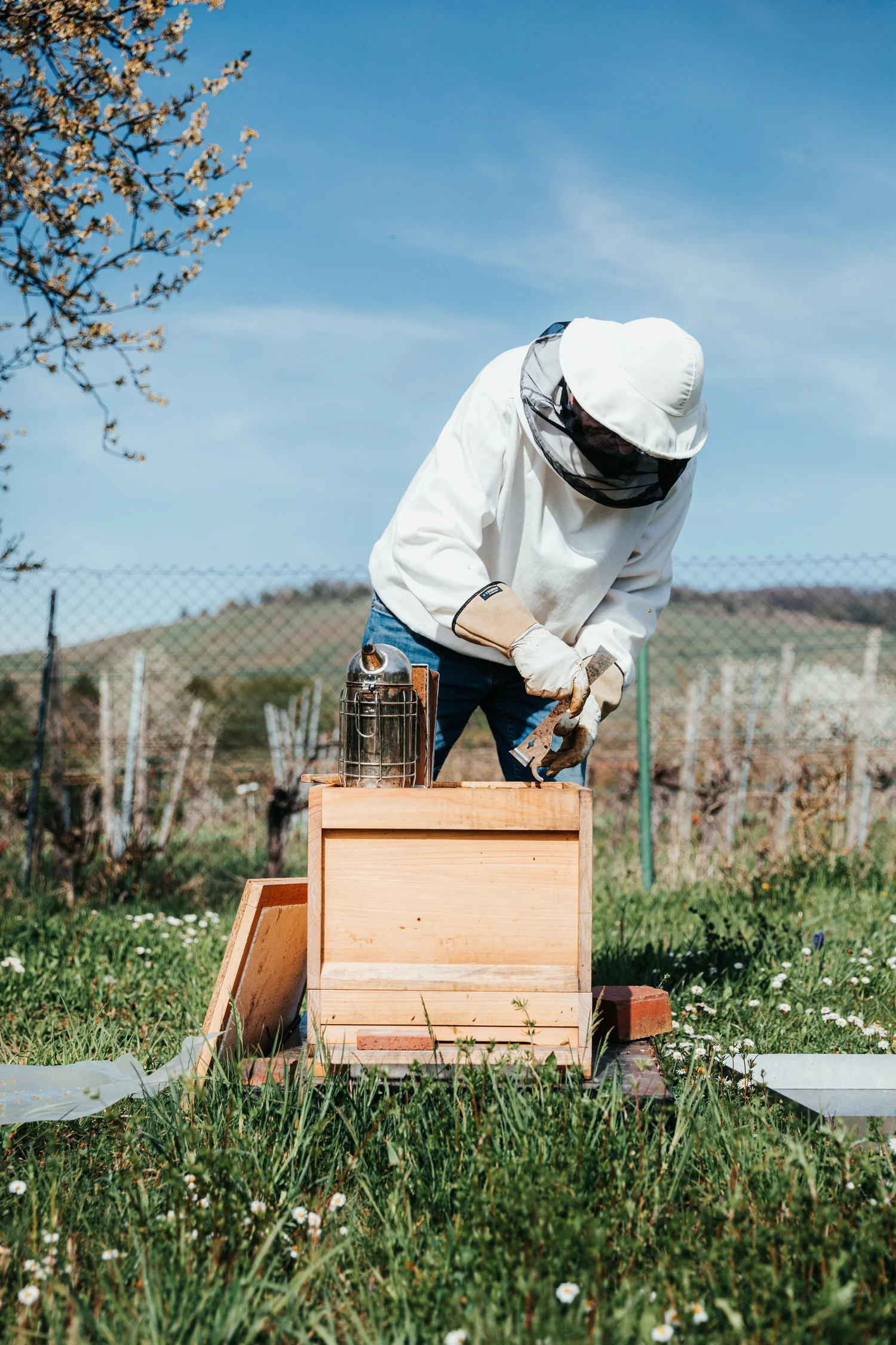 Habitat Banking Resource Hub — Future Parks Accelerator