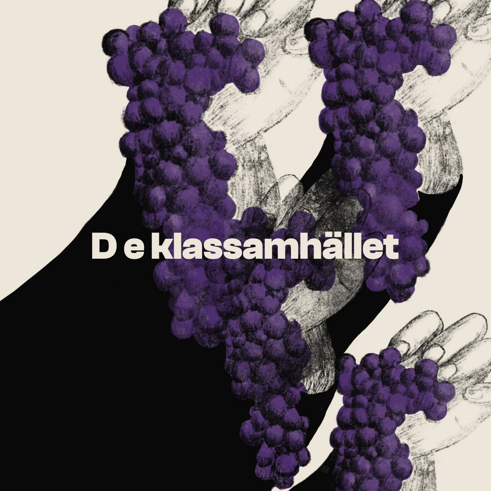 Krakel – radikal vänsterorganisering