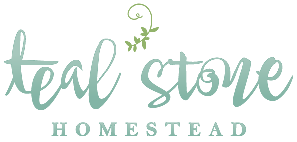 Rabbits — Teal Stone Homestead