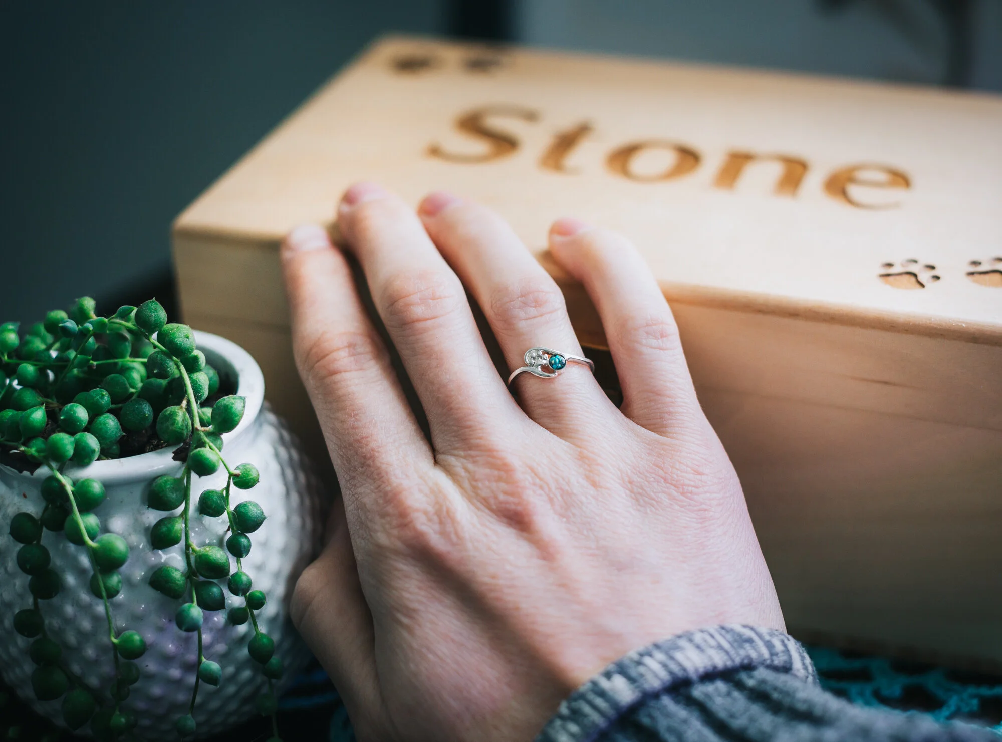 About — Teal Stone Homestead