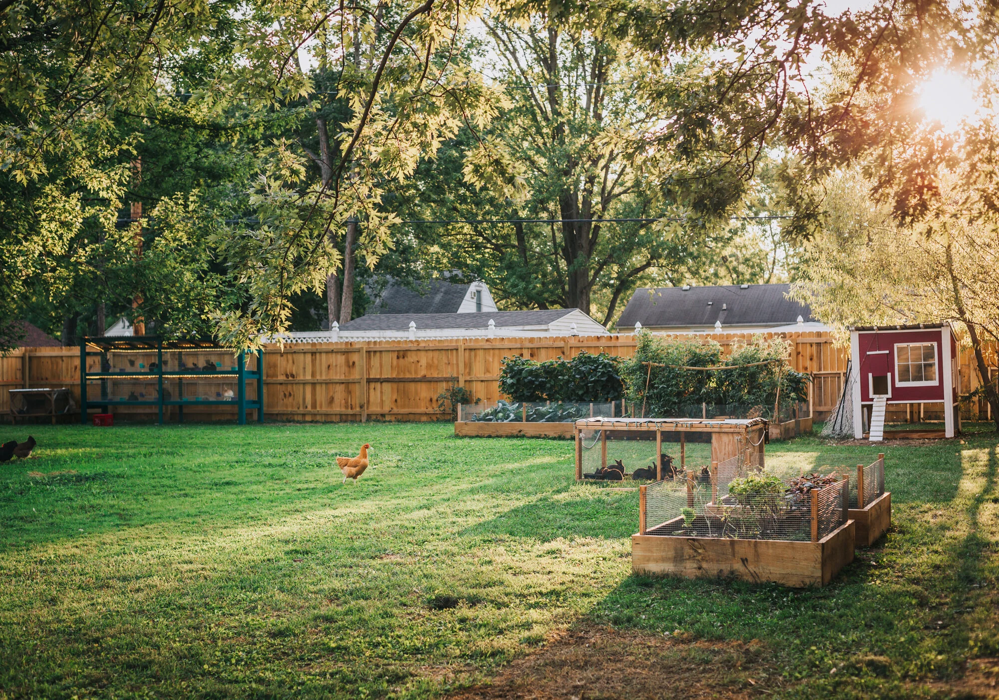 About — Teal Stone Homestead