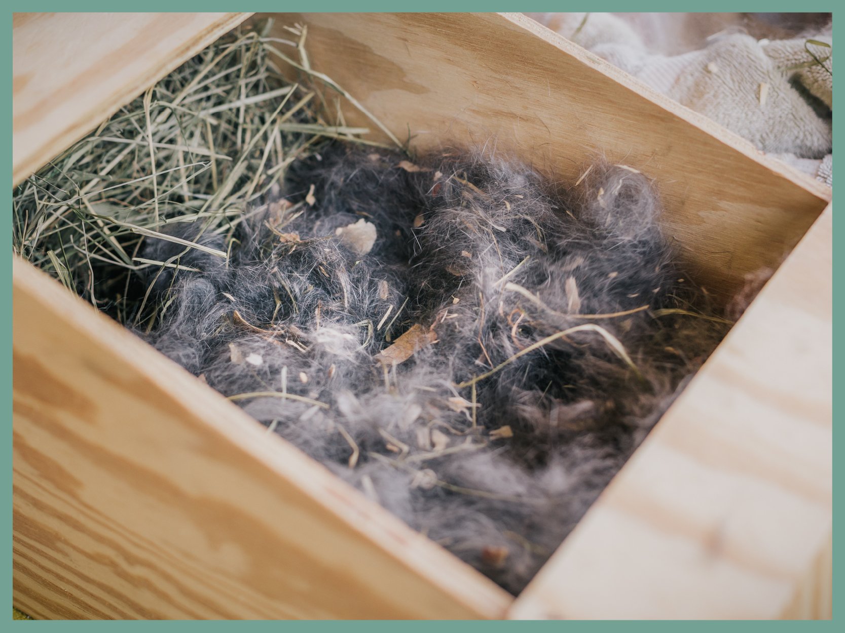 Homemade Rabbit Nest Box