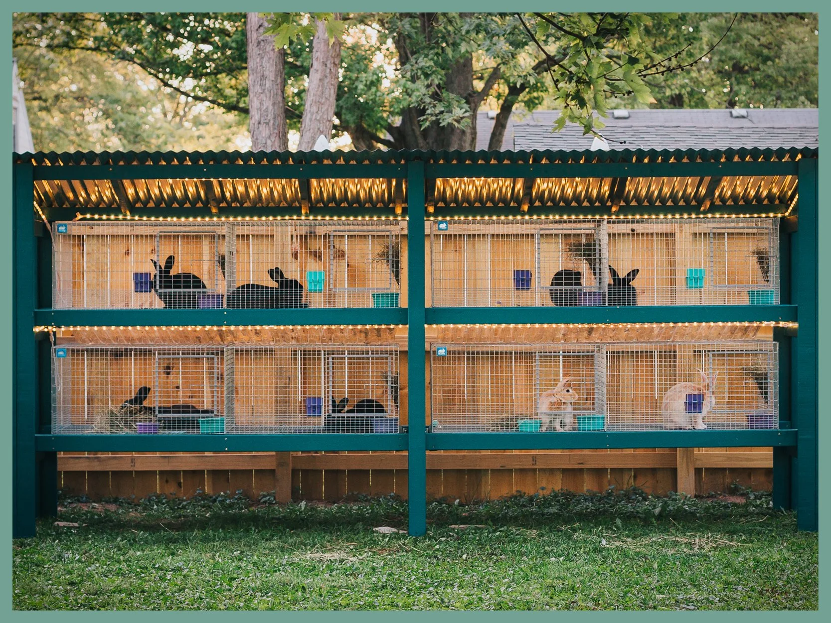 Teal Stone Homestead