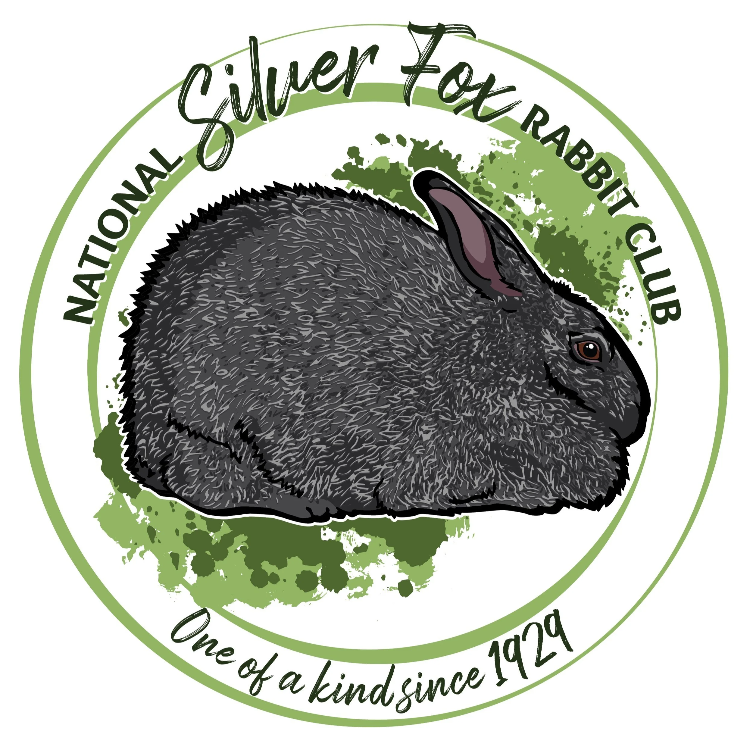 Portfolio — Teal Stone Homestead