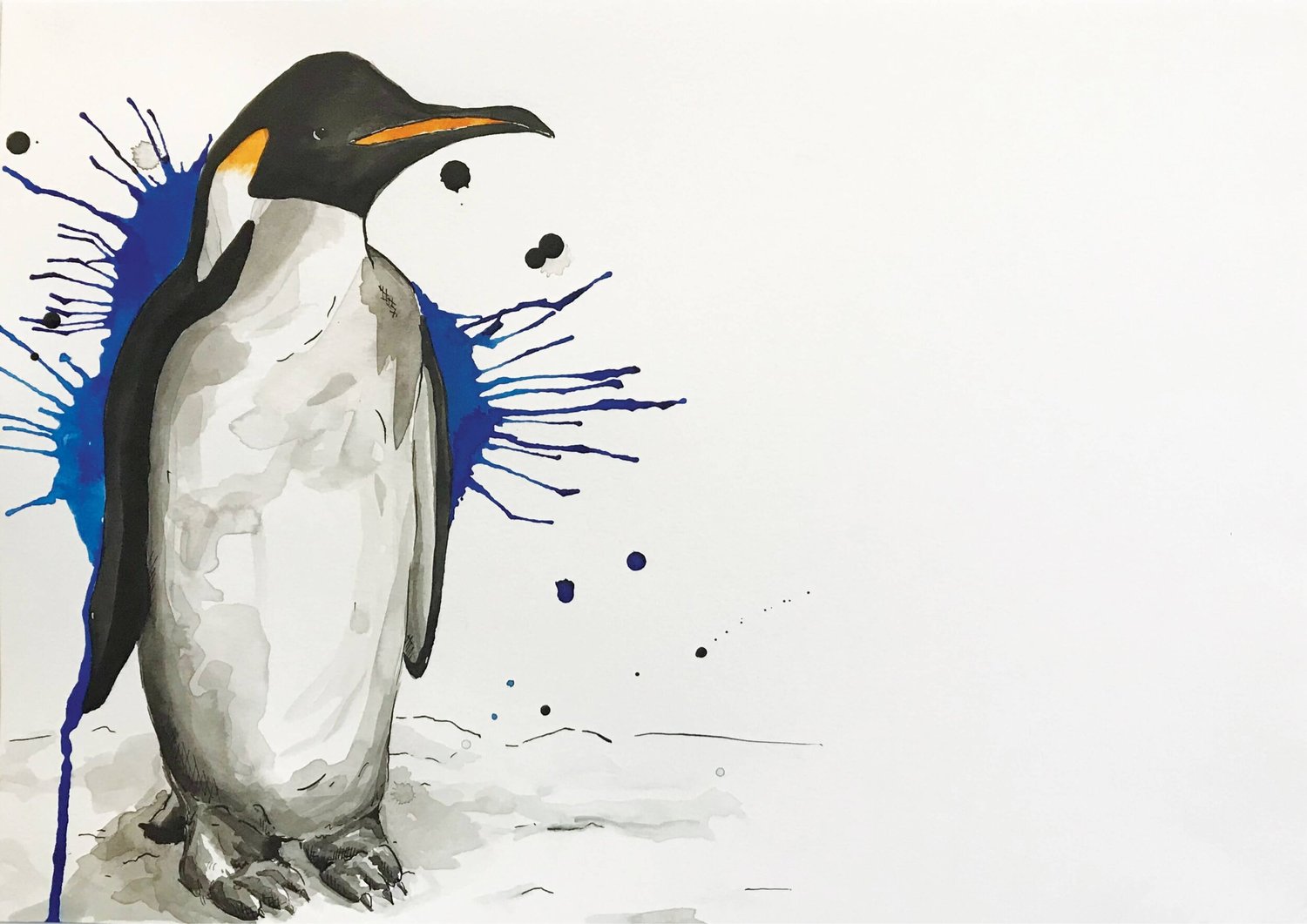 How To Draw An Emperor Penguin