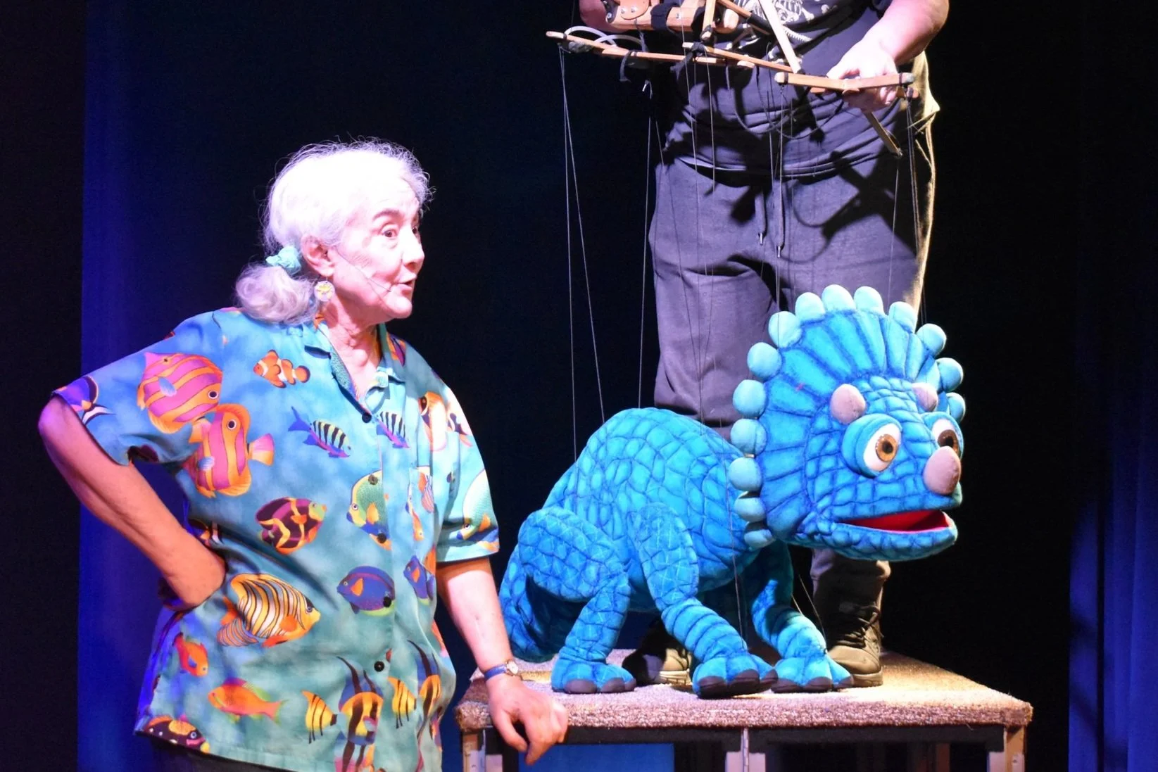 Mainstage Shows — the Puppet Co.