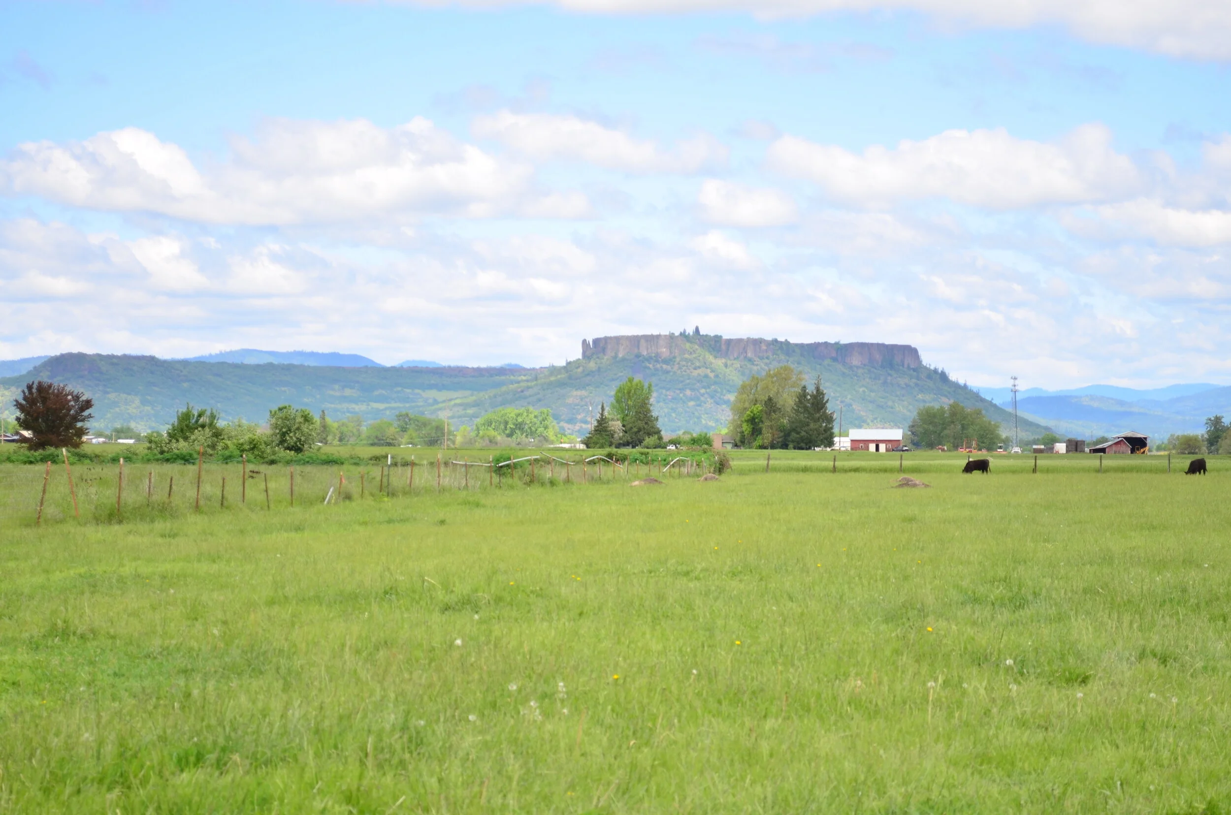 Livestock Feeds — Southern Oregon Feed and Mineral