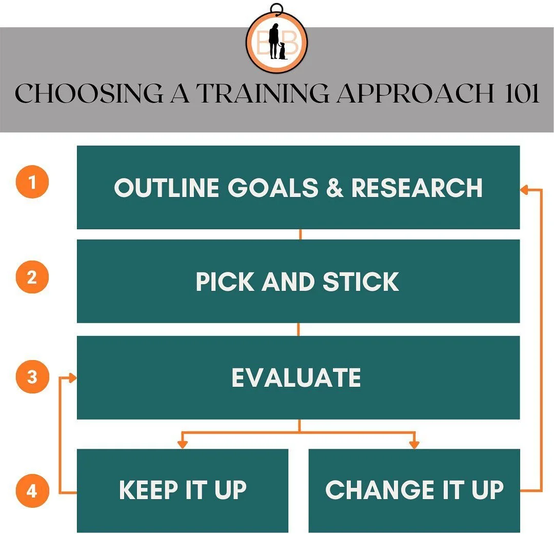 Balanced Behaviour Dog Training