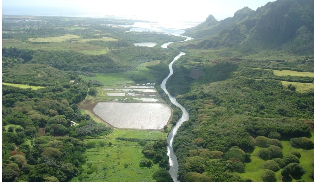 Huleia NWR — Friends of Kauai Wildlife Refuges - Visiting Kilauea Point ...