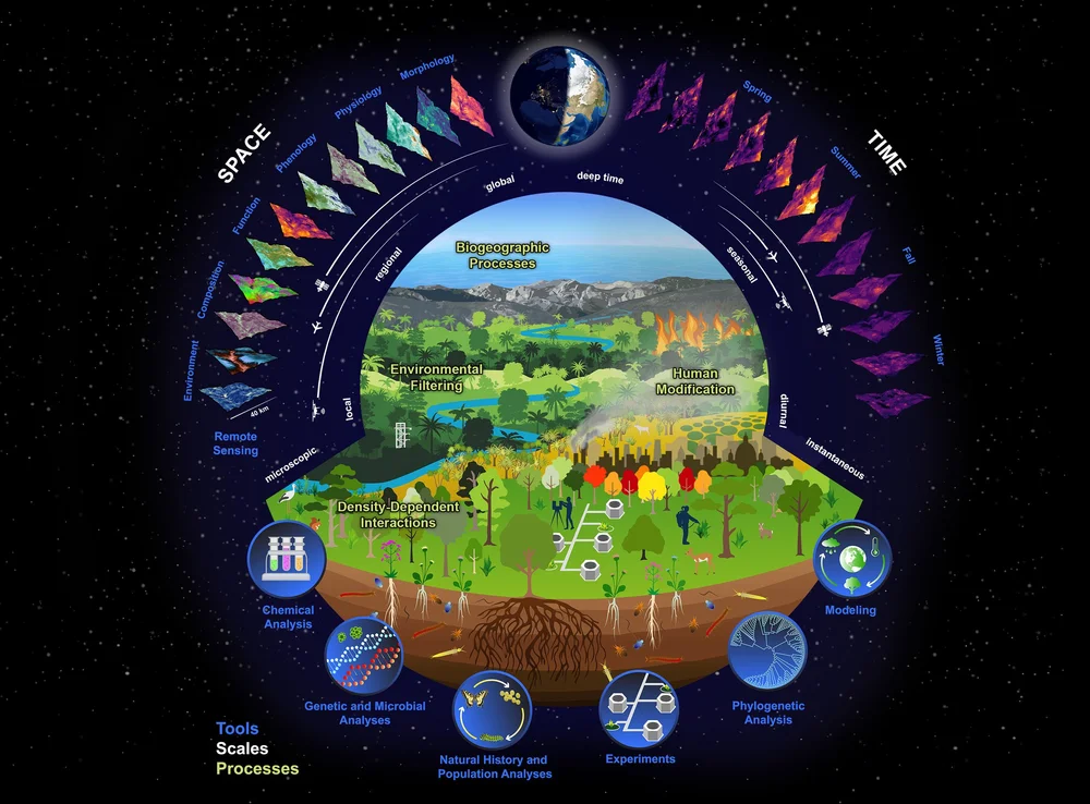 Spectral Biology for the Study of Biodiversity and Global Change