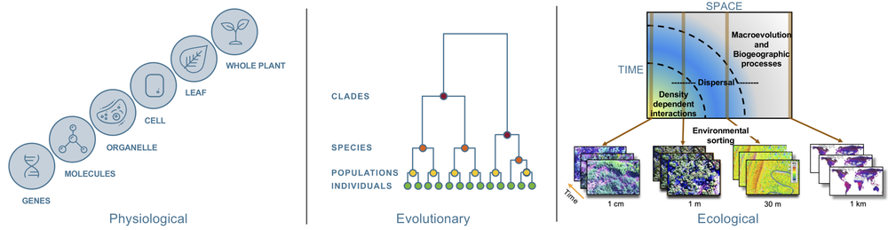 Research overview — Spectral Biology for the Study of Biodiversity and ...