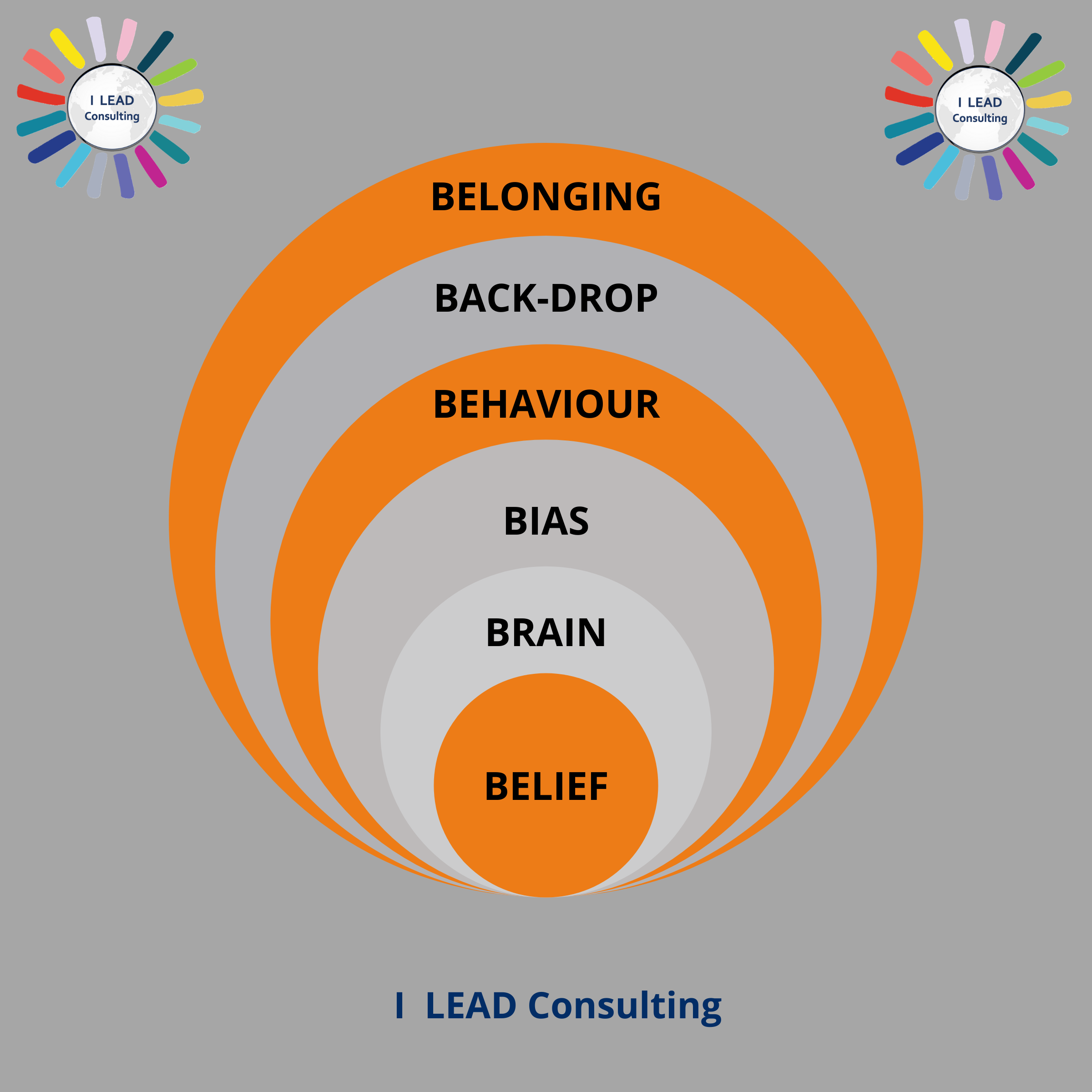Does Everyone Belong Equally? — I LEAD Consulting: Inclusive Leadership ...